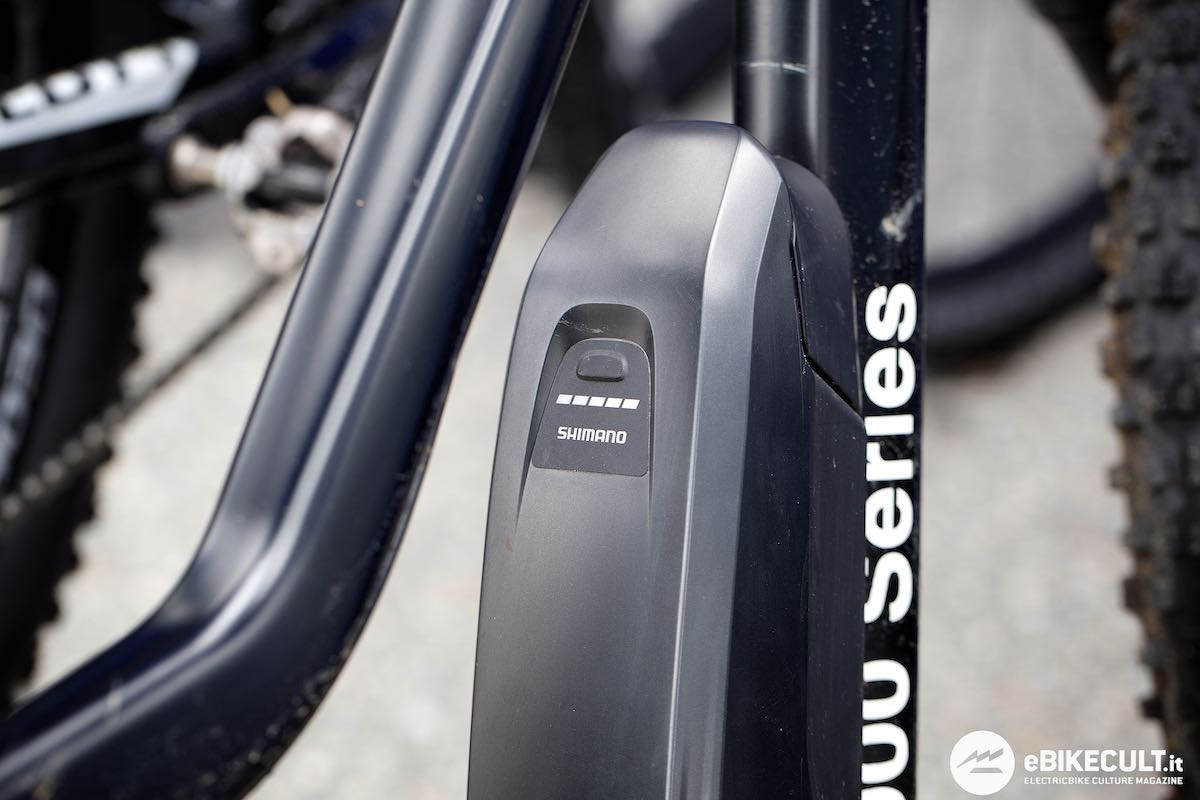074300_irmo_keizer - eBikeCult.it